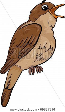 Nightingale Bird Vector & Photo (Free Trial) | Bigstock