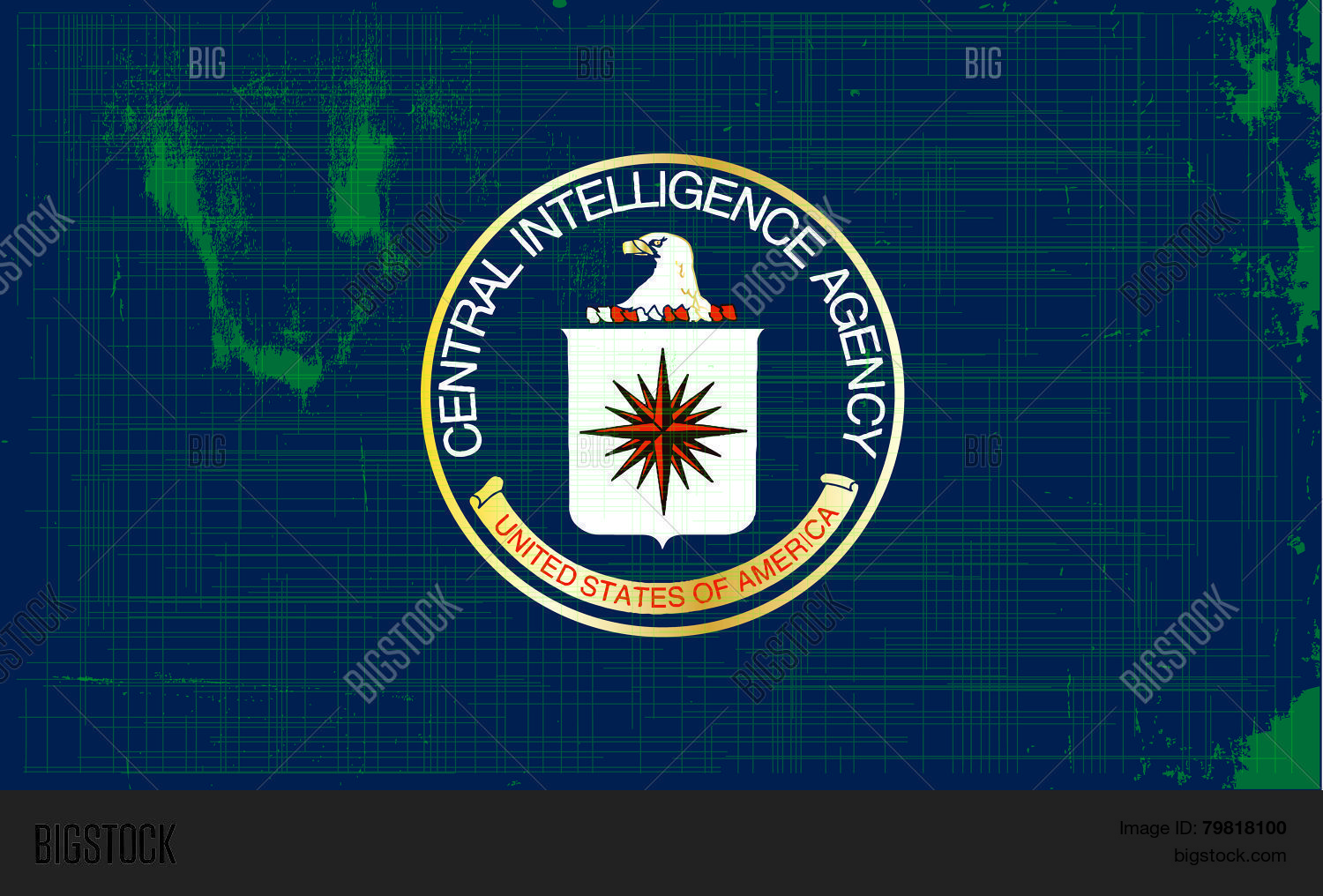 Cia Flag Grunge Vector & Photo (Free Trial) | Bigstock