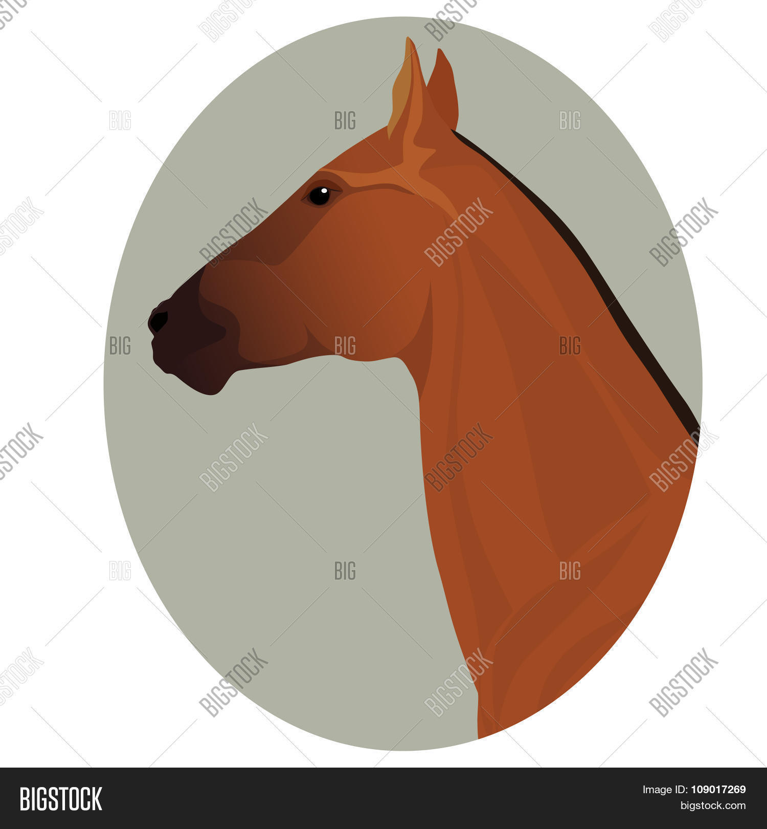 Golden Akhal-teke Vector & Photo (Free Trial) | Bigstock