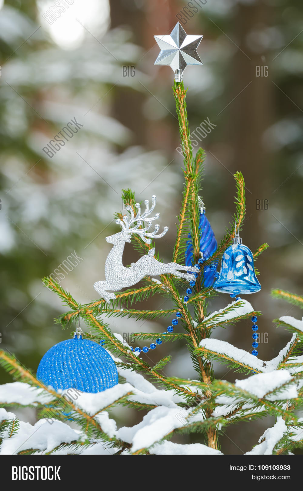 Natural Spruce Tree Image & Photo (Free Trial) | Bigstock