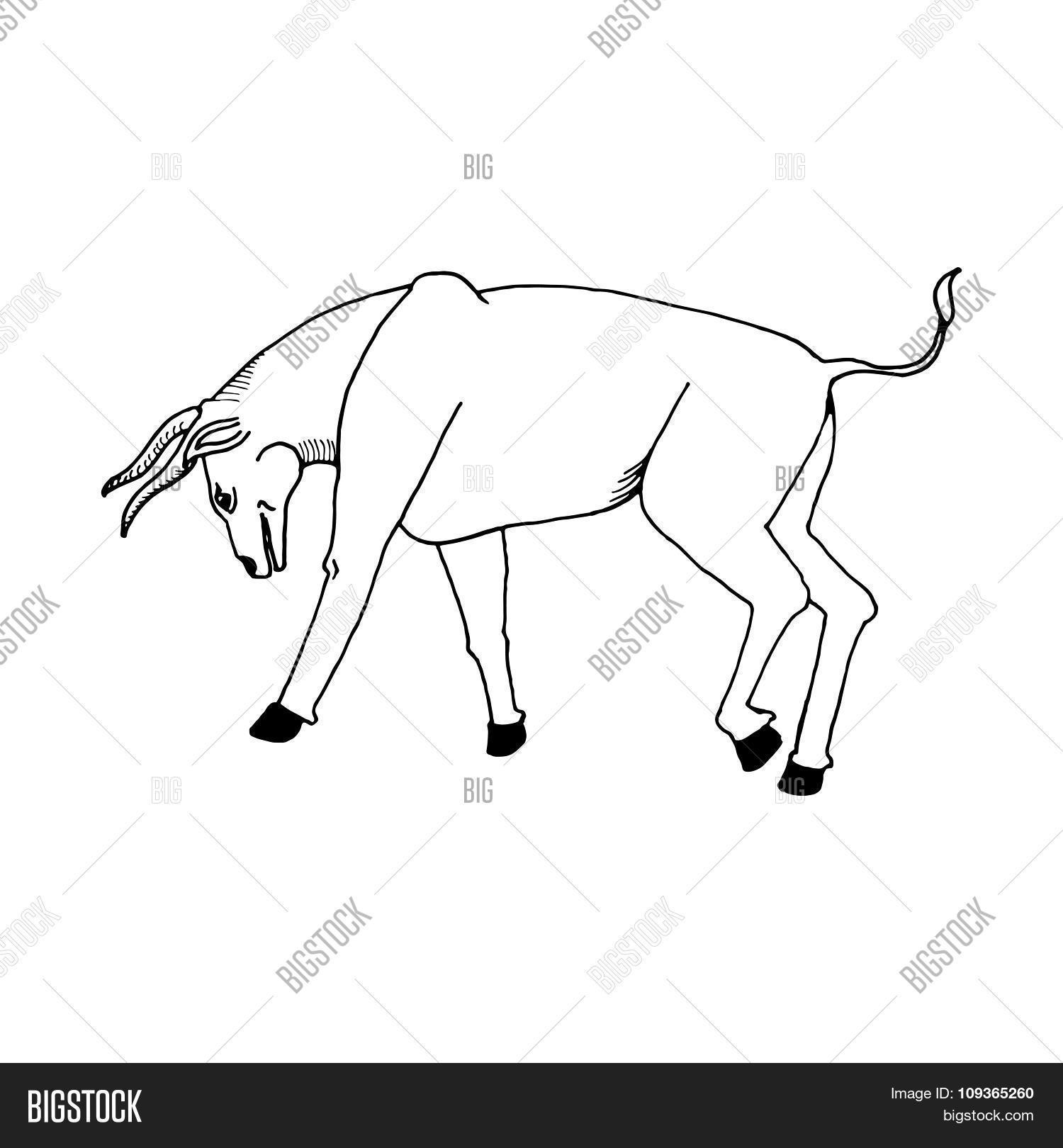 Hand Draw Bull Style Vector & Photo (Free Trial) | Bigstock