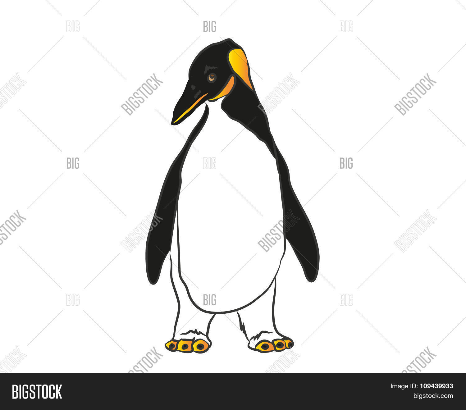 Penguin - Clip Art - Vector & Photo (Free Trial) | Bigstock