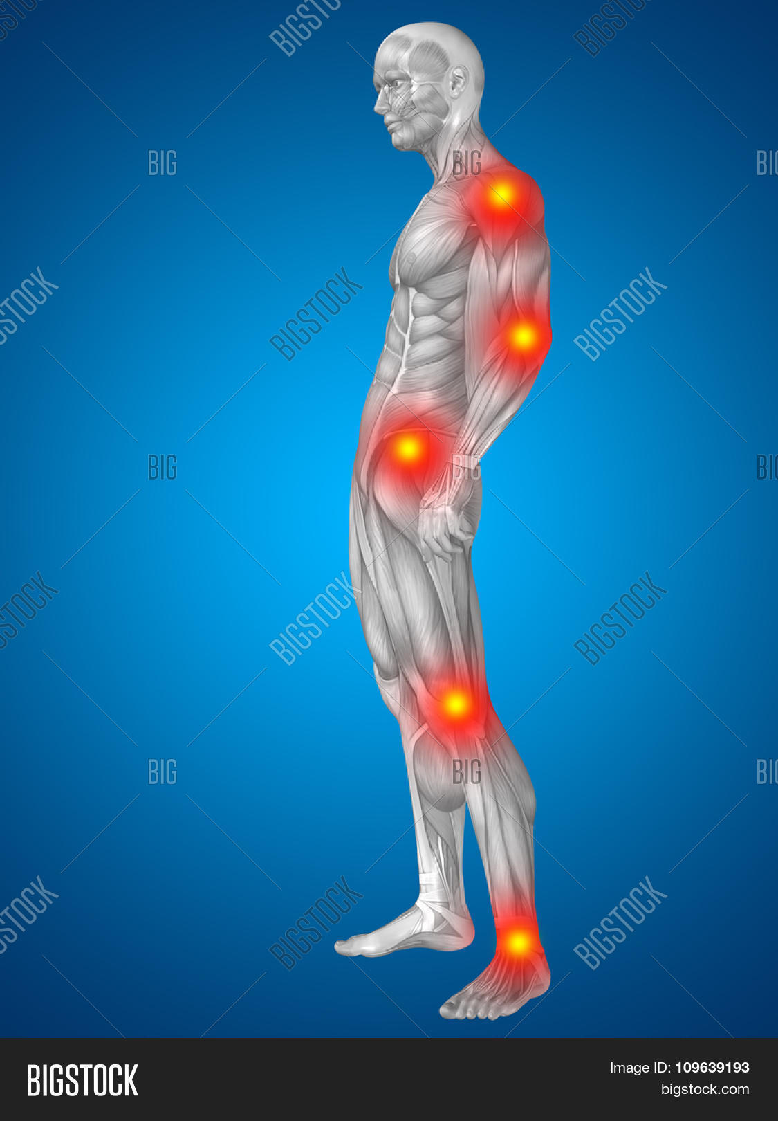 3D Human Man Muscles Image & Photo (Free Trial) | Bigstock