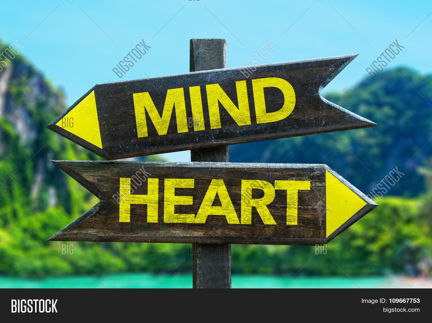 Mind - Heart Signpost Image & Photo (Free Trial) | Bigstock