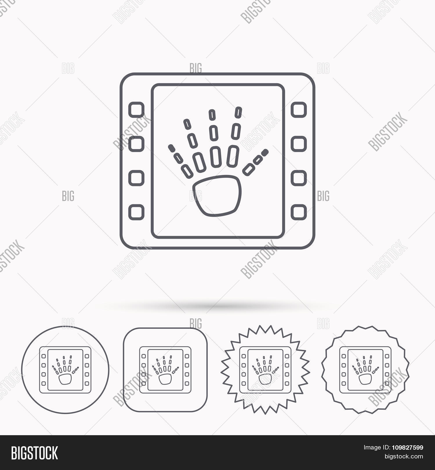 Hand X-ray Icon. Vector & Photo (Free Trial) | Bigstock
