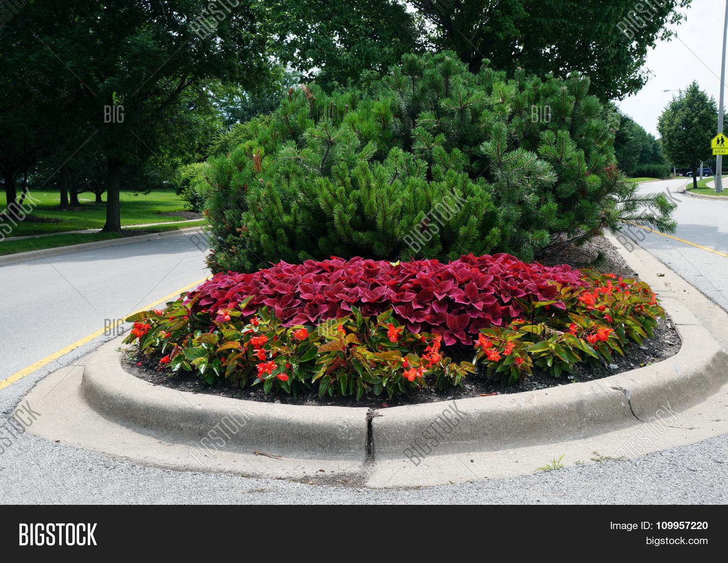 Flower Garden Traffic Image & Photo (Free Trial) | Bigstock