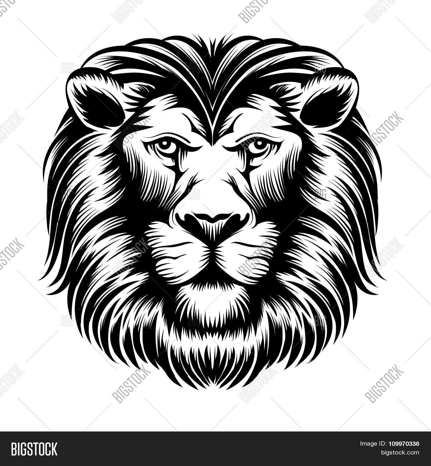 Lion Head Vector Vector & Photo (Free Trial) | Bigstock