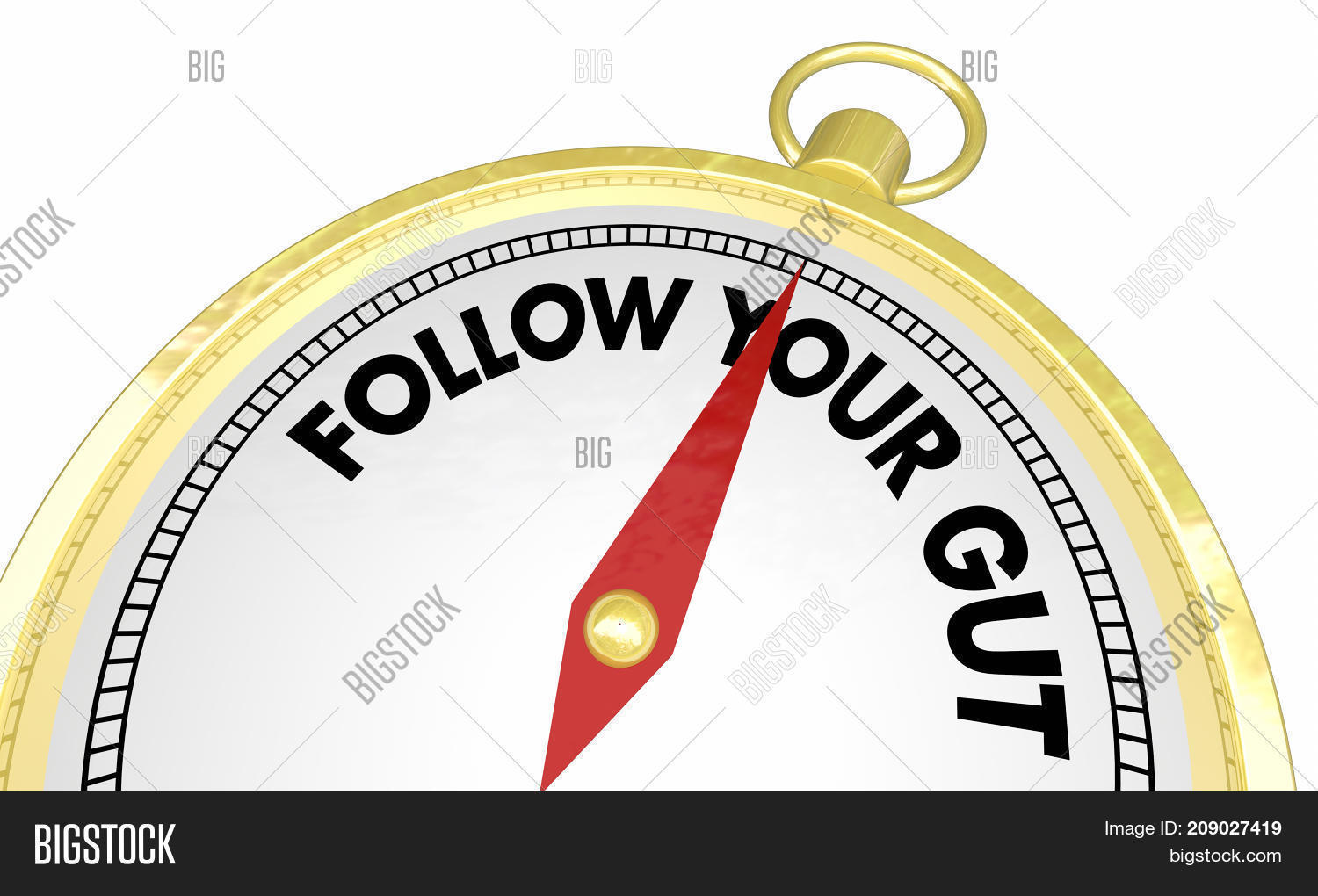 Follow Your Gut Image & Photo (Free Trial) | Bigstock