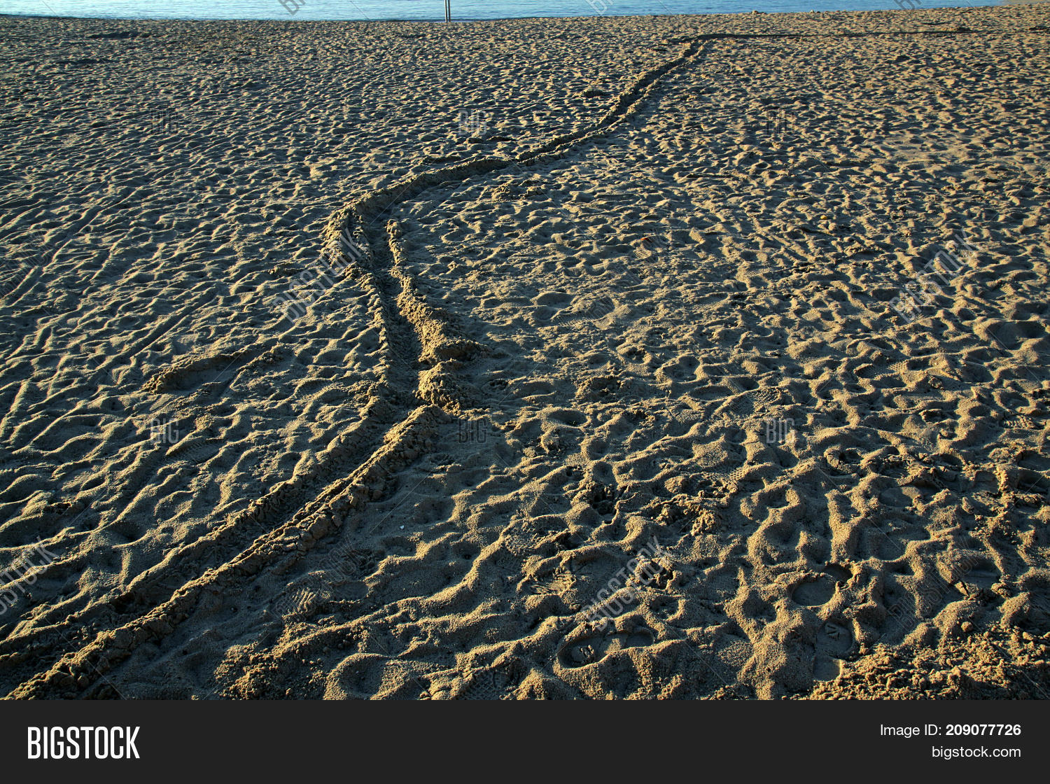 People Trampled Sand Image & Photo (Free Trial) | Bigstock