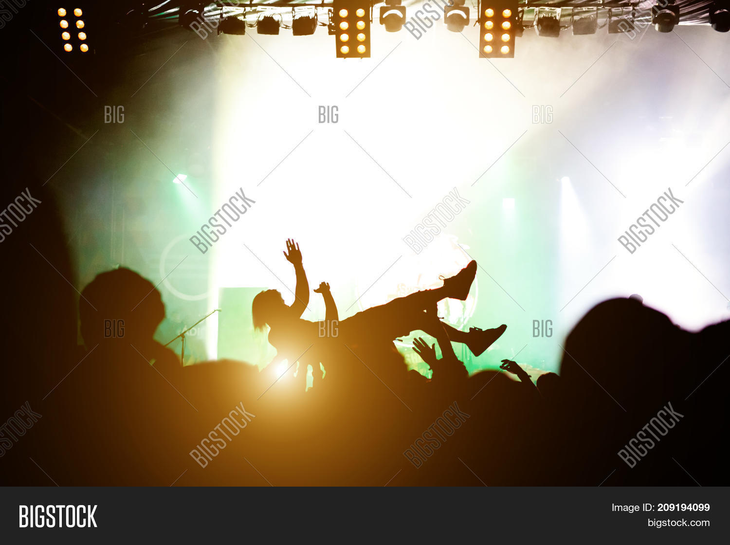 Stage Diving. Crowd Image & Photo (Free Trial) | Bigstock