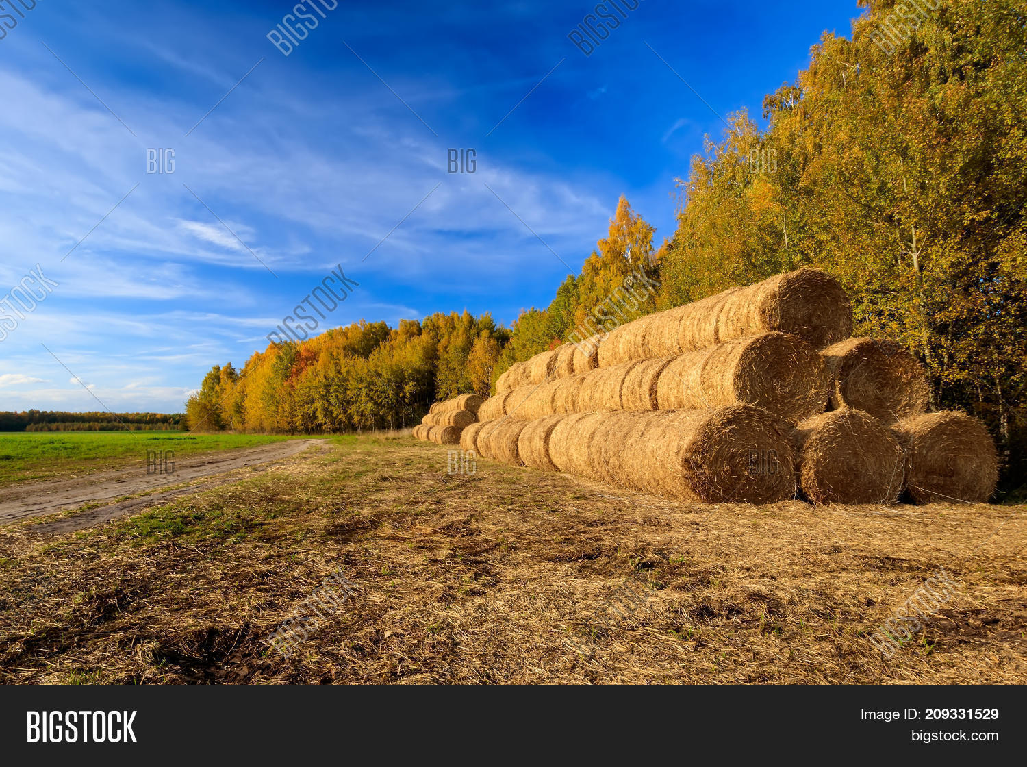 Haystacks On Field Image & Photo (Free Trial) | Bigstock