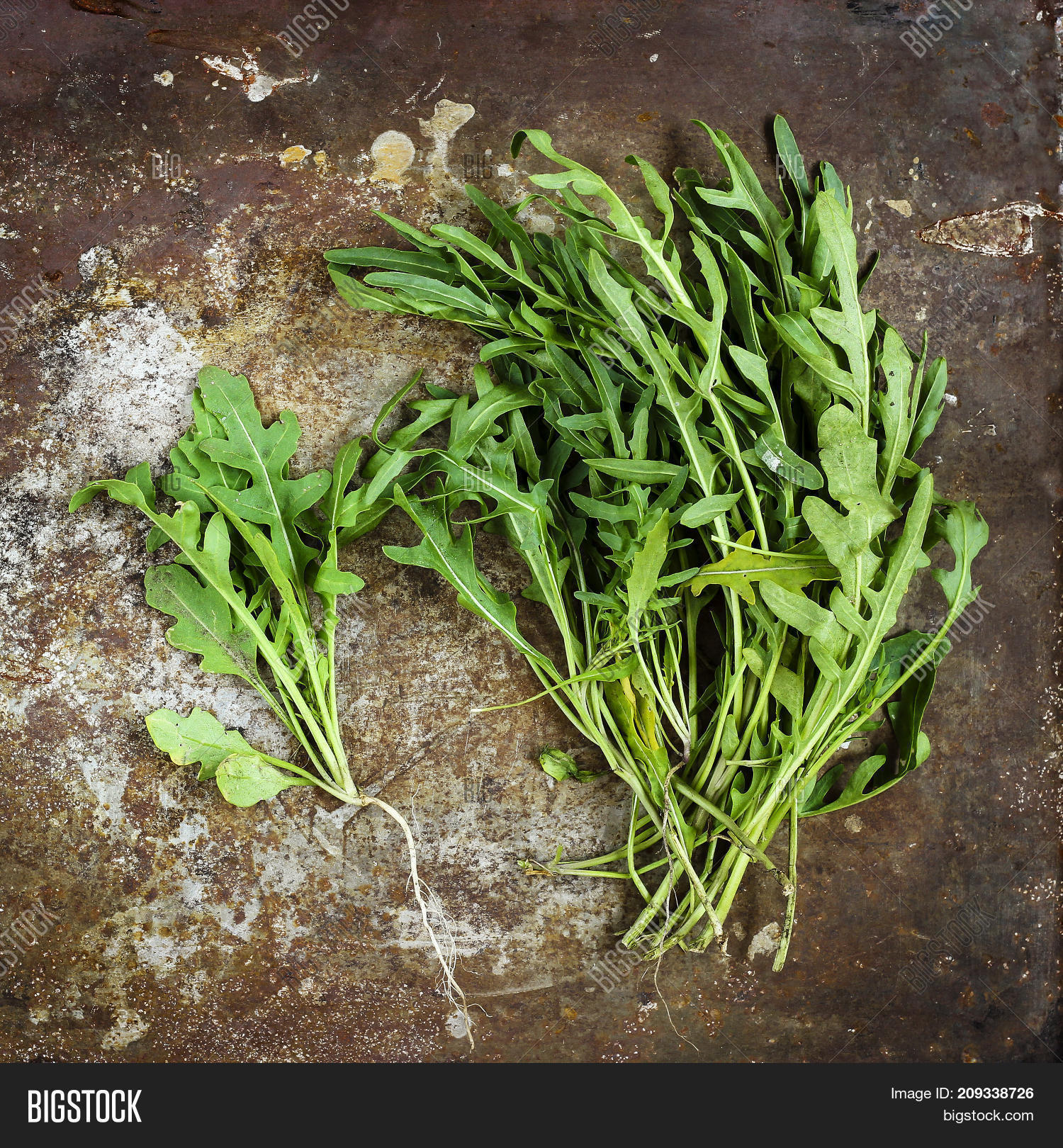 Fresh Green Arugula Image & Photo (Free Trial) | Bigstock