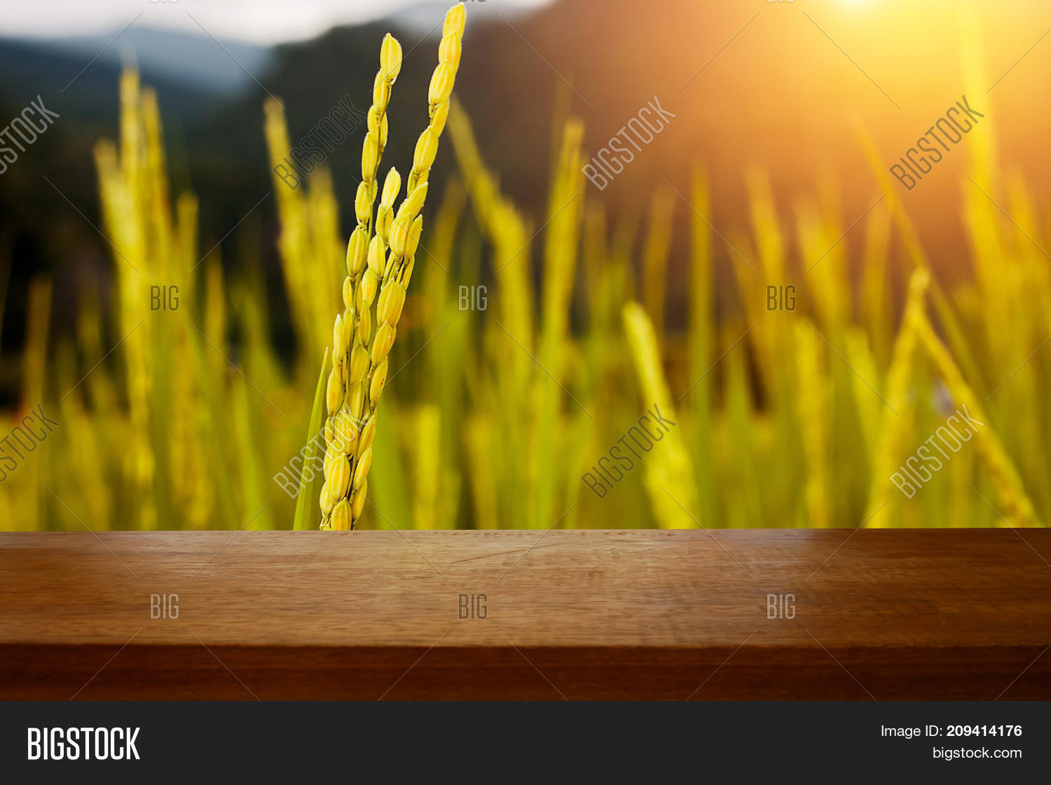 Wood Board Table Front Image & Photo (Free Trial) | Bigstock