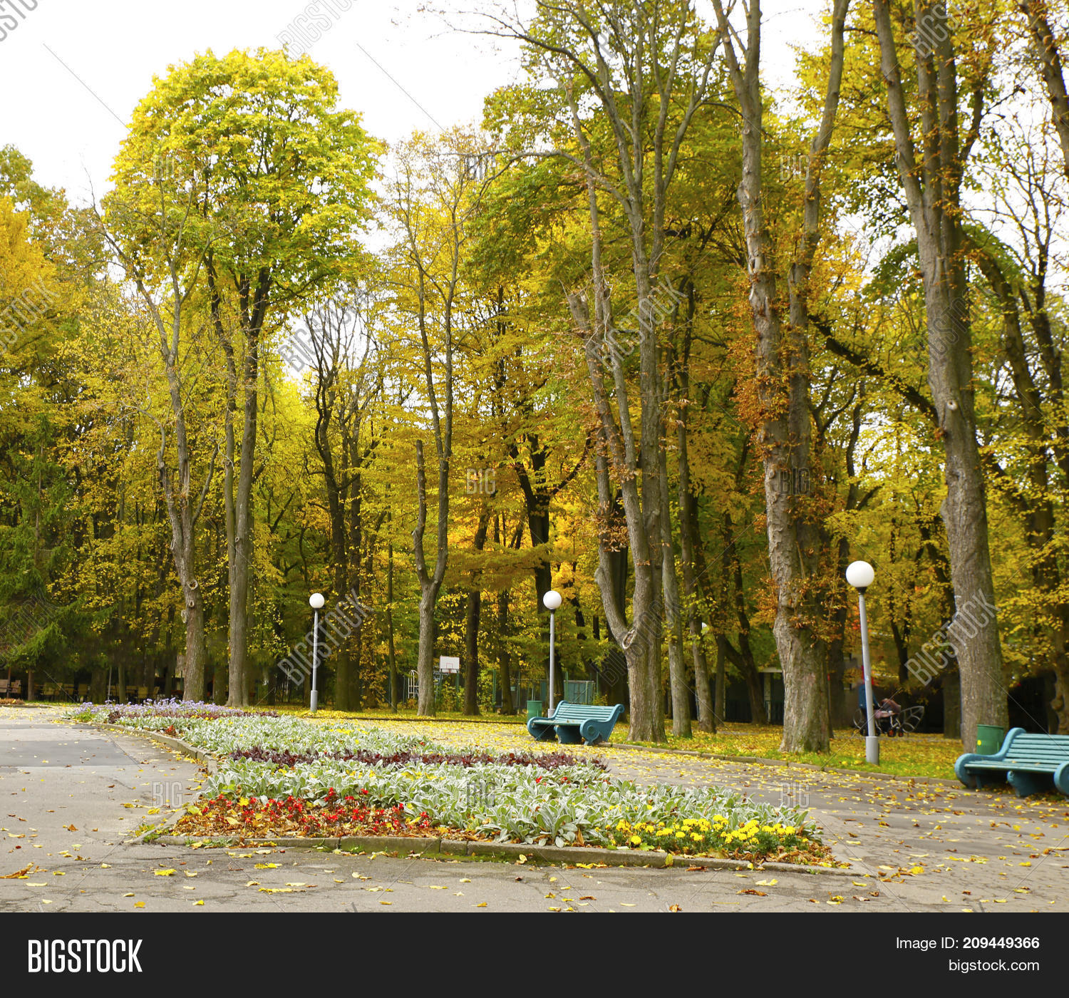 Different Views Autumn Image & Photo (Free Trial) | Bigstock