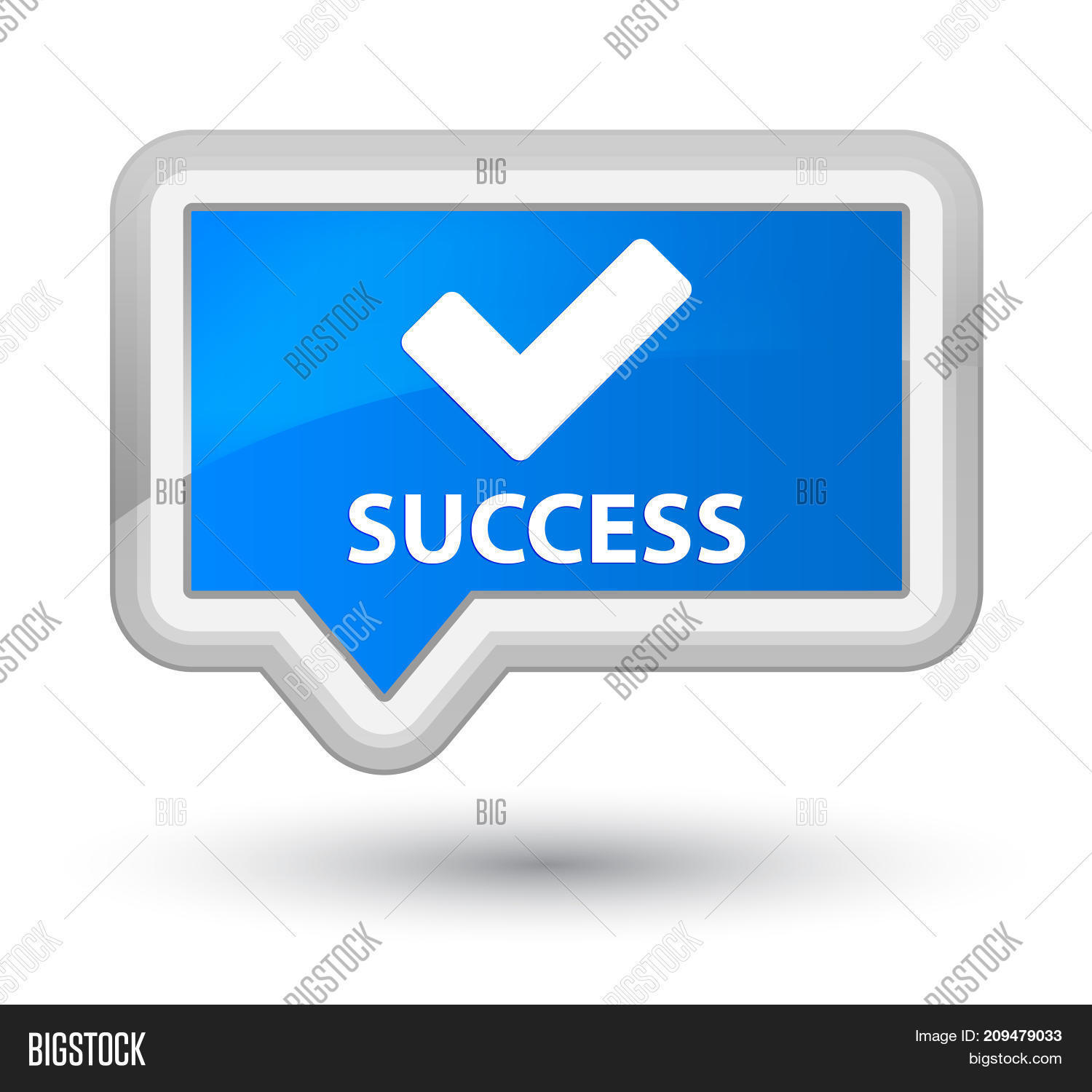 Success (validate Icon Image & Photo (Free Trial) | Bigstock