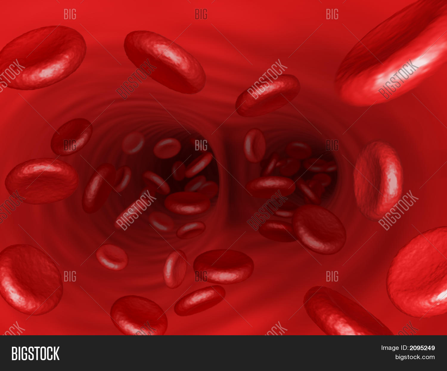 Red Blood Cells Image & Photo (Free Trial) | Bigstock