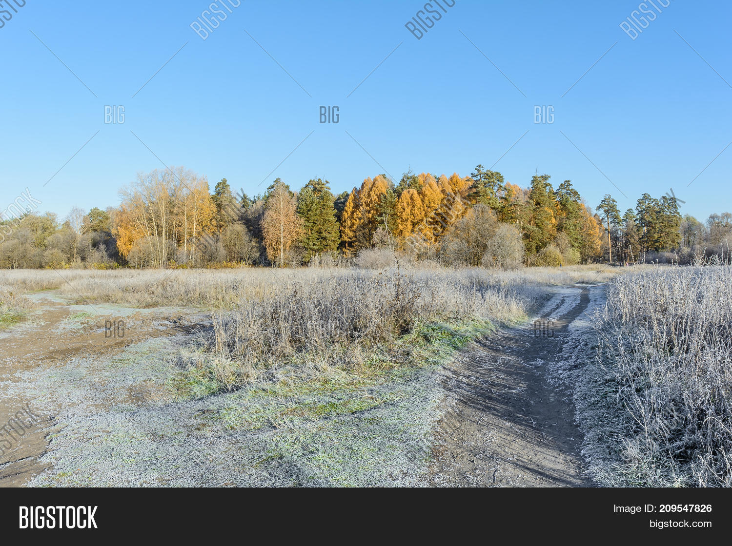 Autumn Autumn Frost Image & Photo (Free Trial) | Bigstock