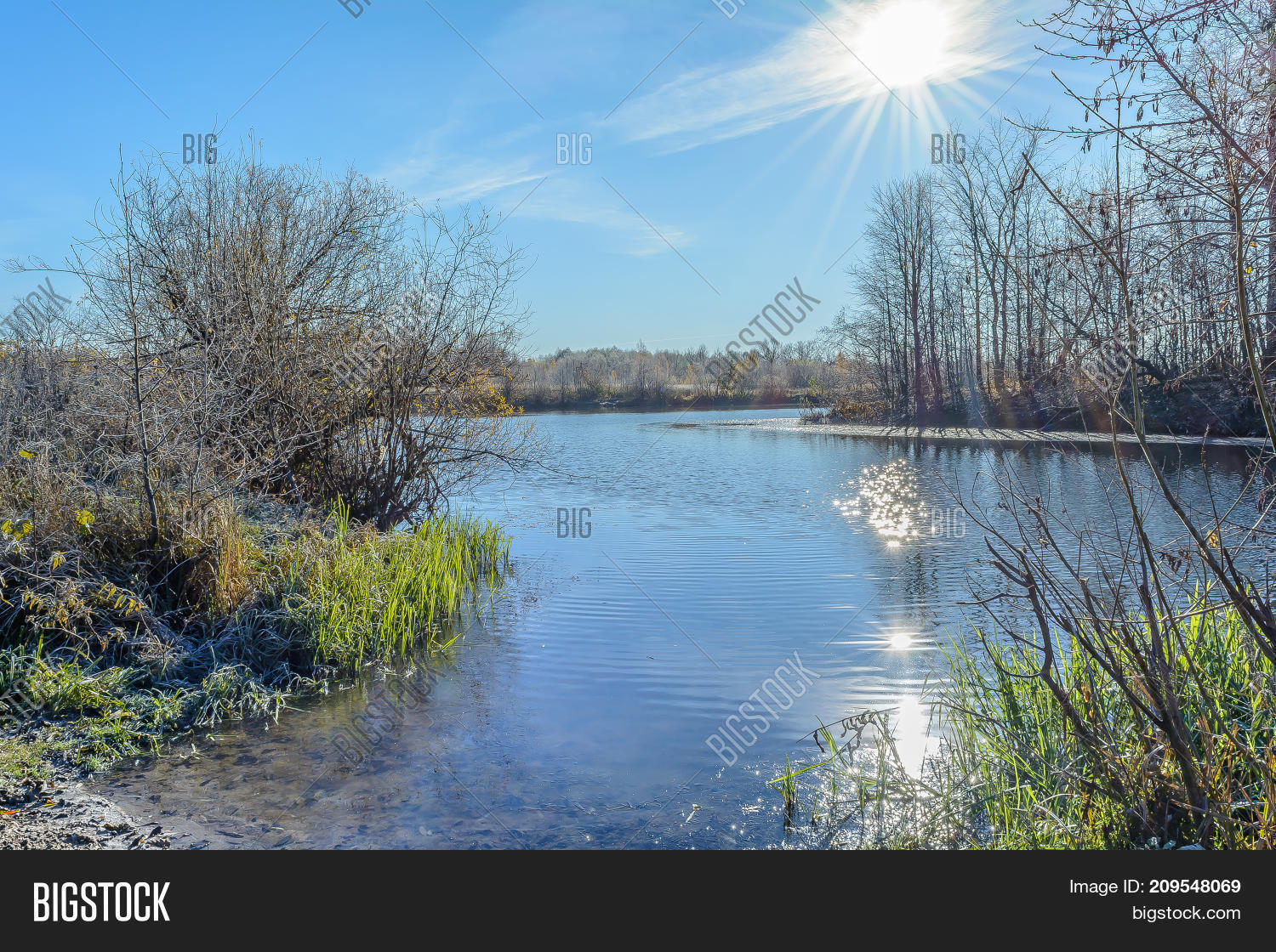 Autumn Forest Grove Image & Photo (Free Trial) | Bigstock