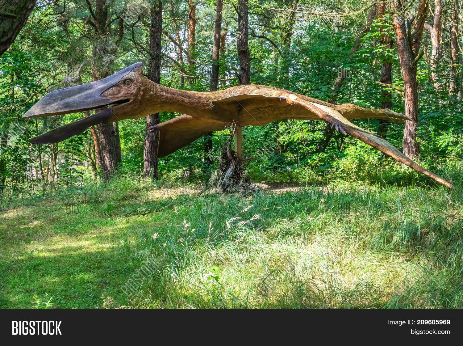 Life Sized Raptor Image & Photo (Free Trial) | Bigstock