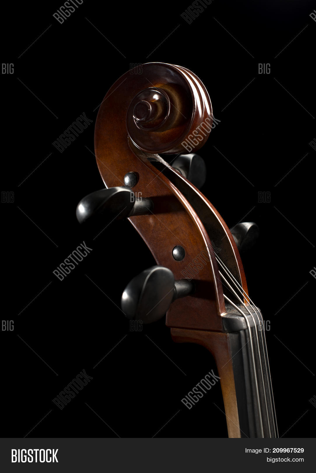 Cello Scroll Set Image & Photo (Free Trial) | Bigstock