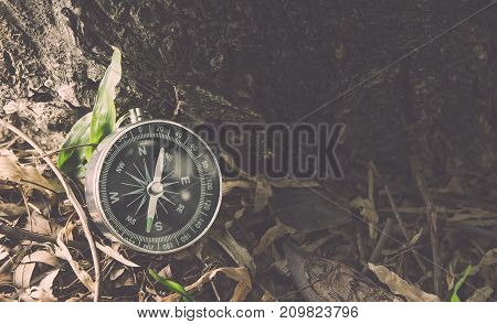 Compass Needle Image & Photo (Free Trial) | Bigstock