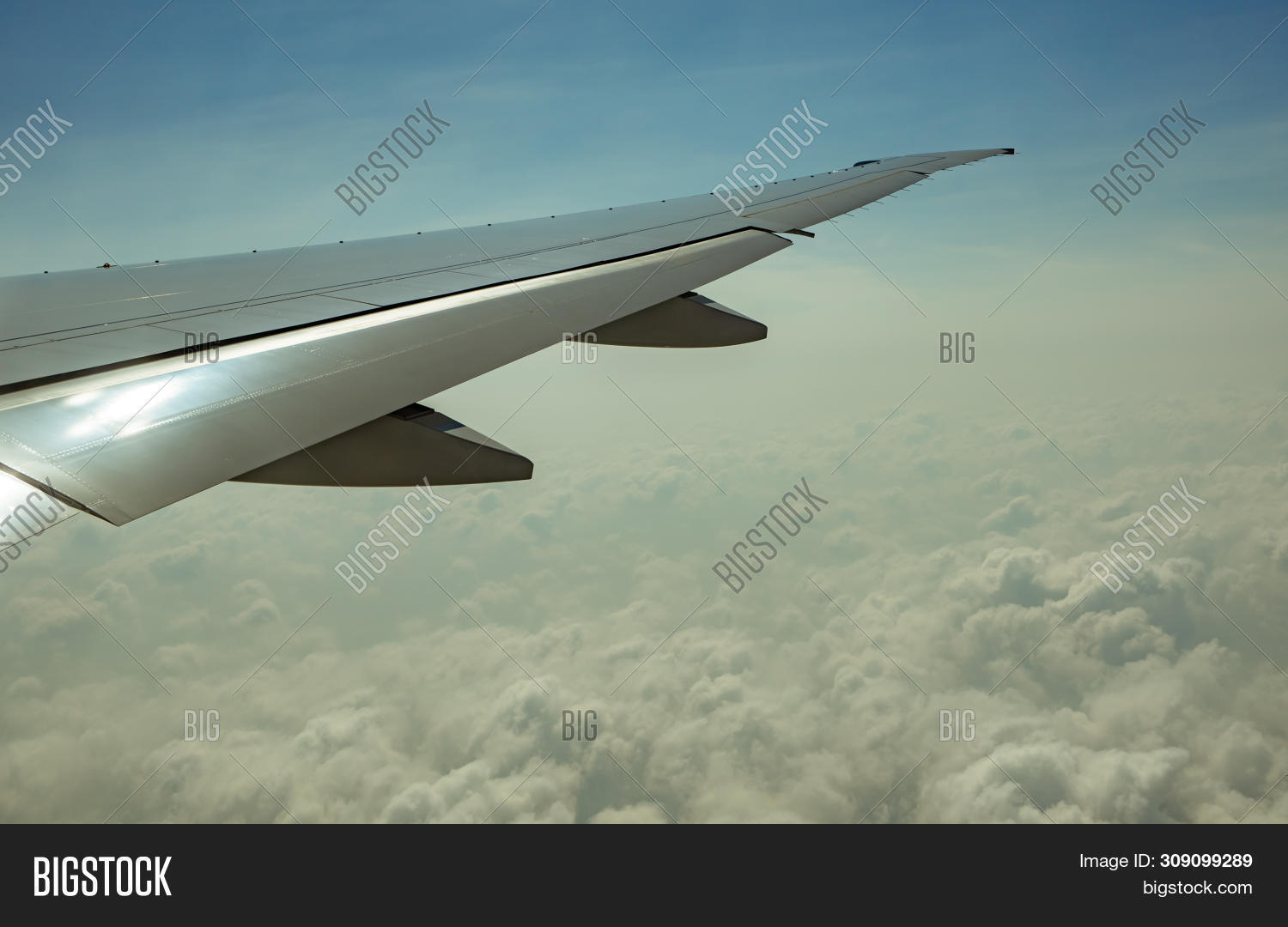 Wing Plane Over White Image & Photo (Free Trial) | Bigstock