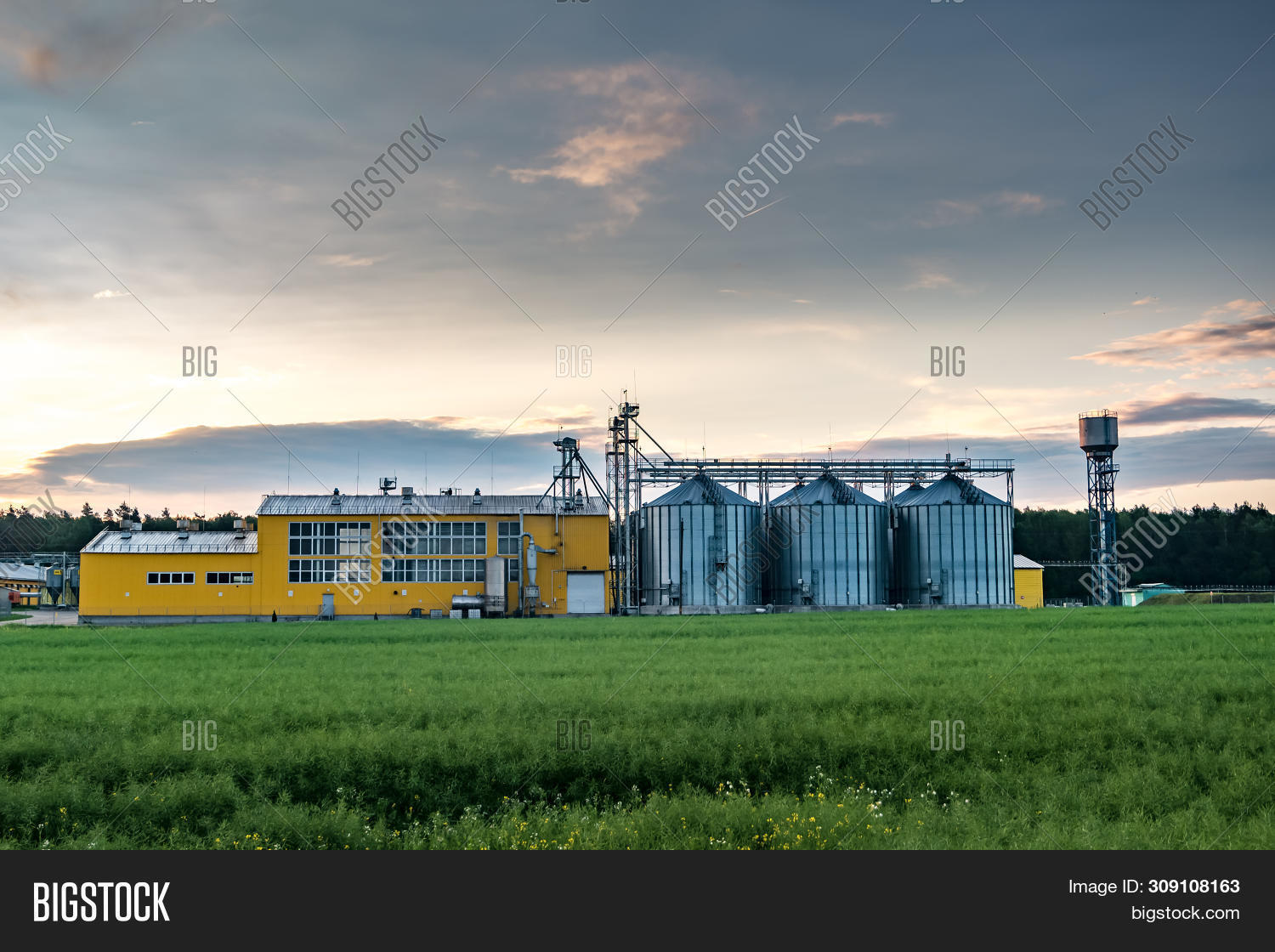 Agro-processing Plant Image & Photo (Free Trial) | Bigstock