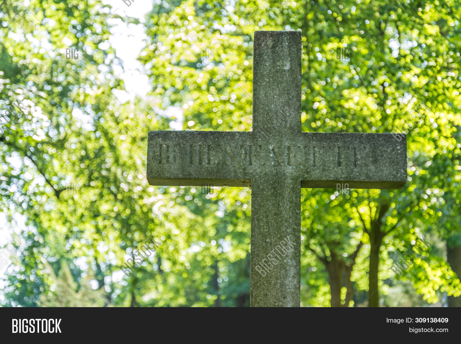 Closeup Shot Grave Image & Photo (Free Trial) | Bigstock