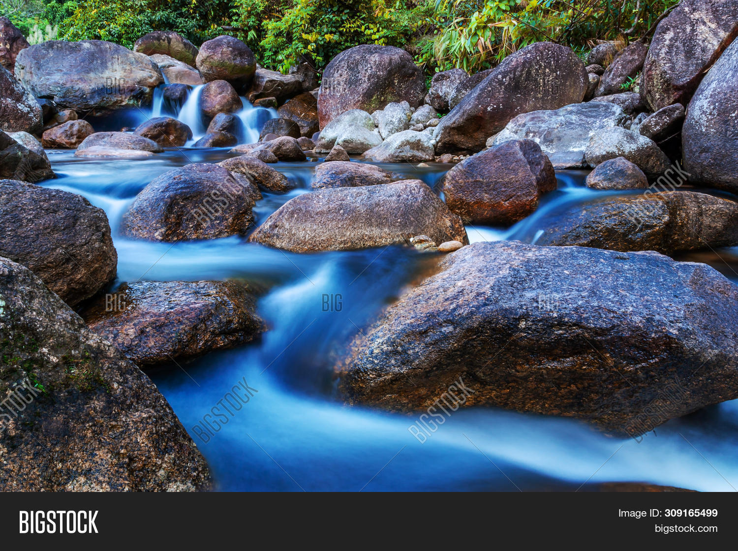 River Stone Tree Image & Photo (Free Trial) | Bigstock