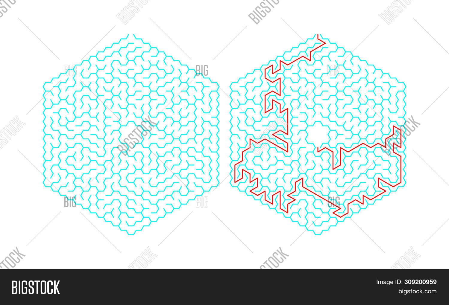 Hexagonal Labyrinth Image & Photo (Free Trial) | Bigstock