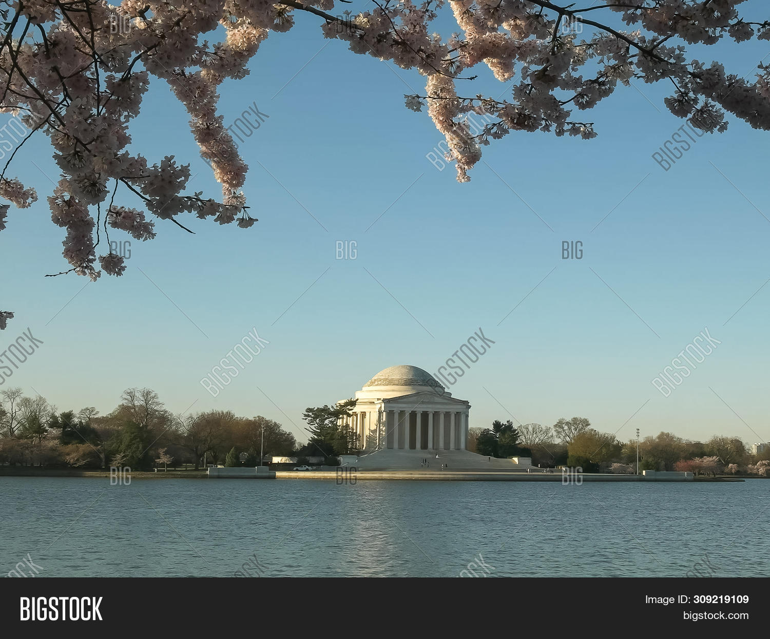 Medium Angle Shot Image & Photo (Free Trial) | Bigstock