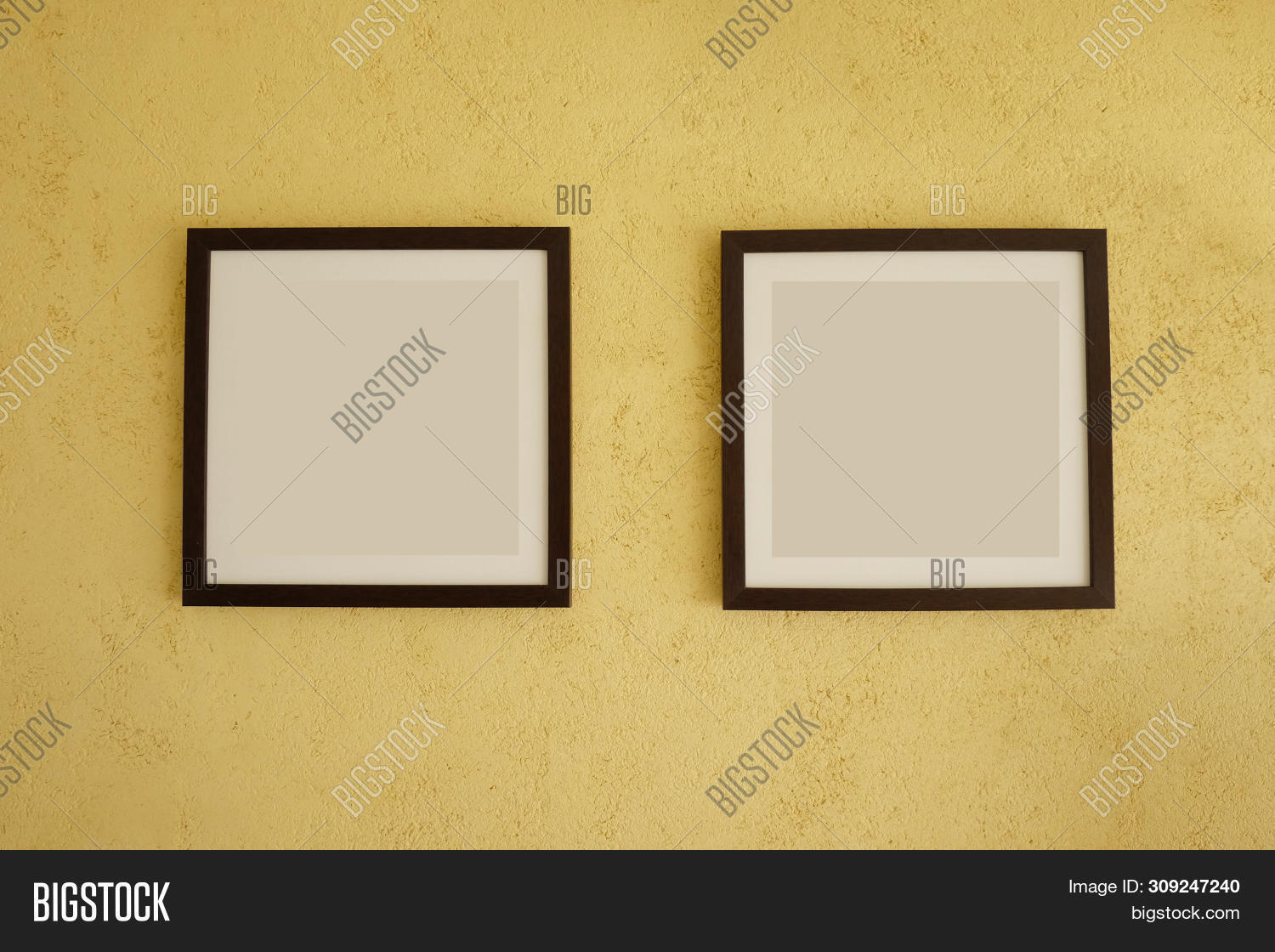 Empty Picture Frames Image & Photo (Free Trial) | Bigstock