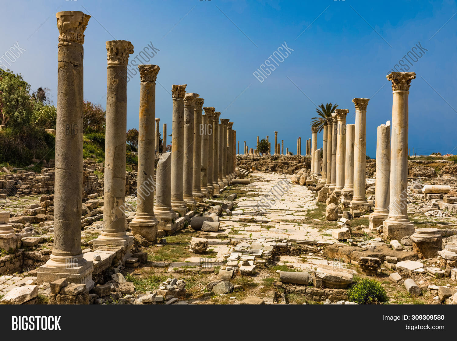 Romans Ruins Tyre Sur Image & Photo (Free Trial) | Bigstock