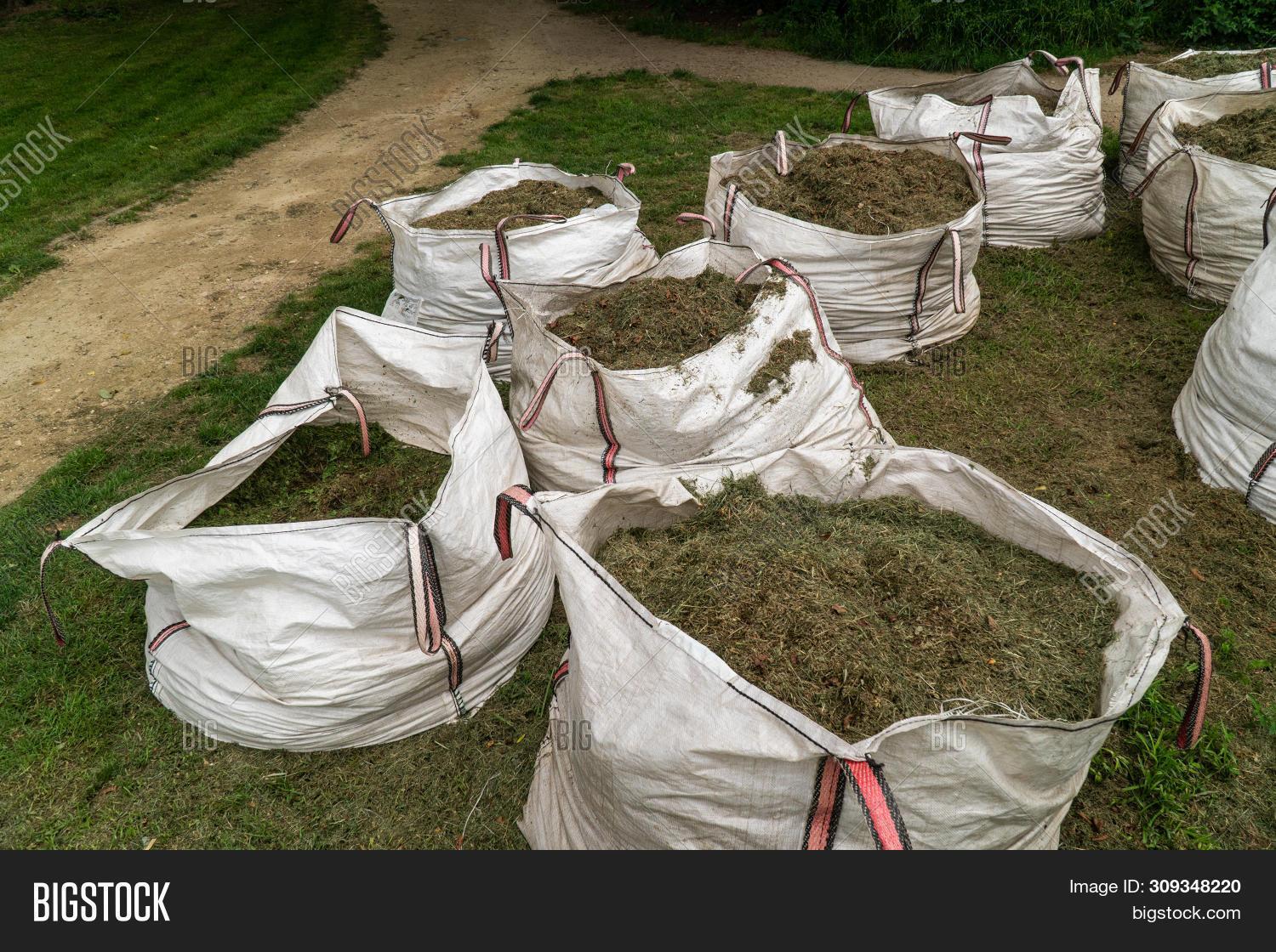 Full Sacks Row Cut Image & Photo (Free Trial) | Bigstock