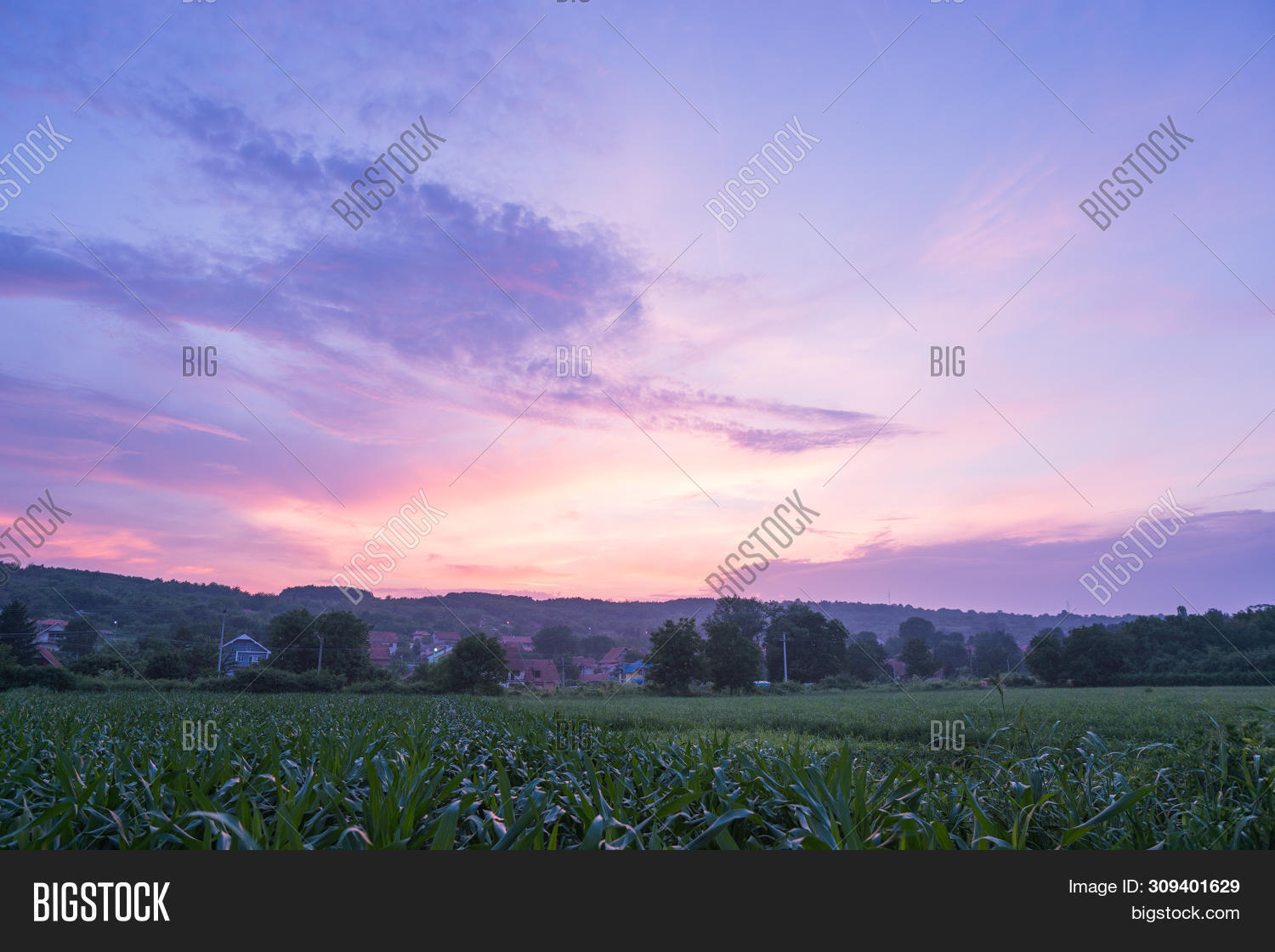 Sunset Countryside Image & Photo (Free Trial) | Bigstock