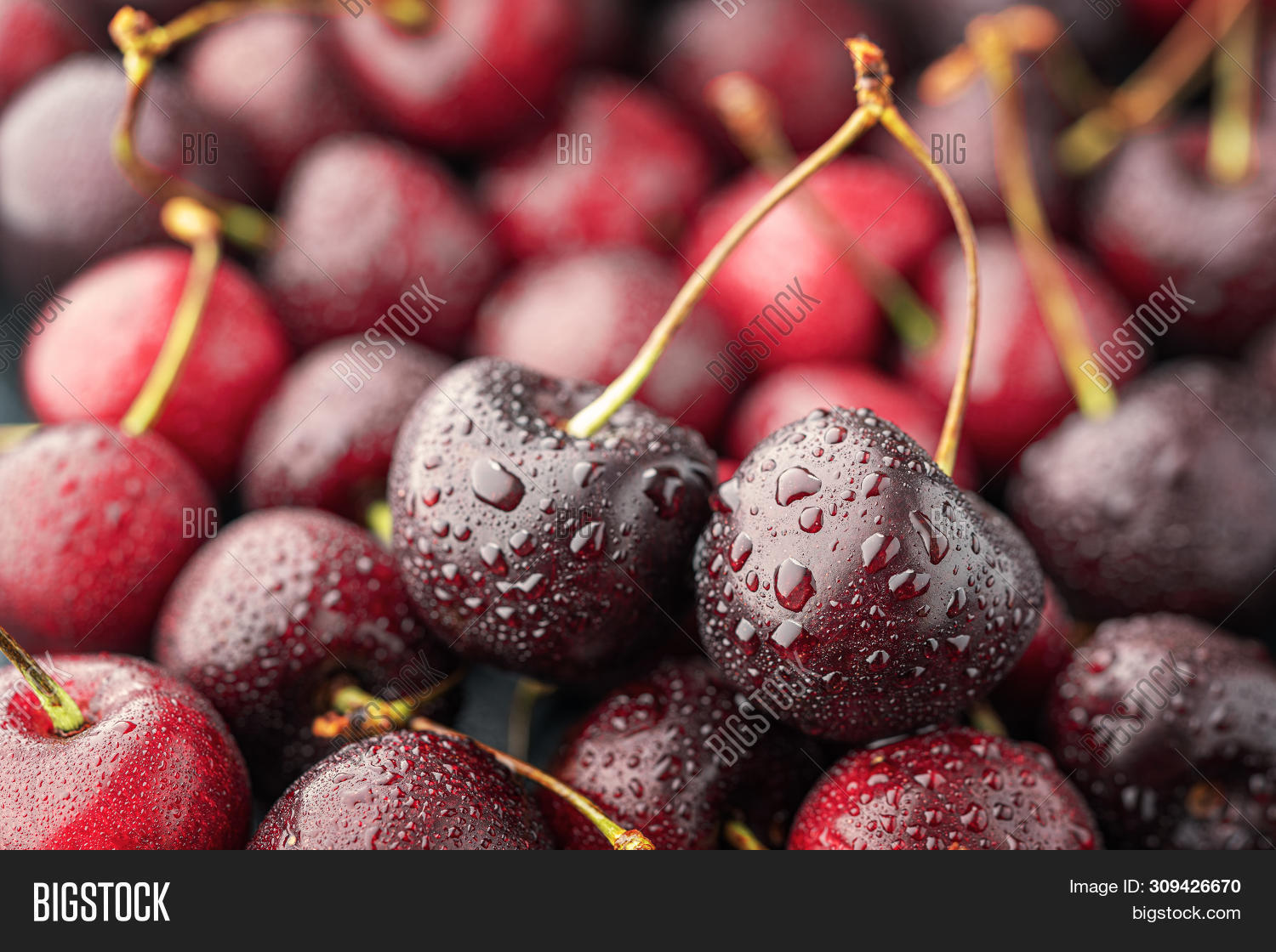 Close Pile Ripe Image & Photo (Free Trial) | Bigstock