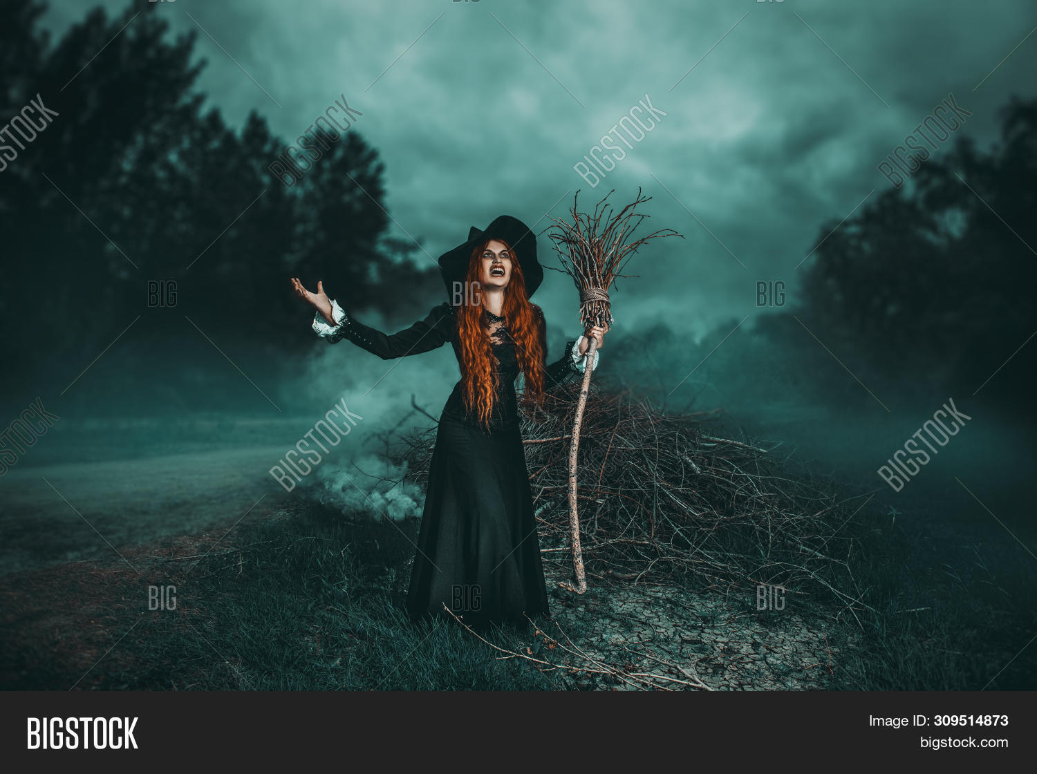 Portrait Angry Witch Image & Photo (Free Trial) | Bigstock