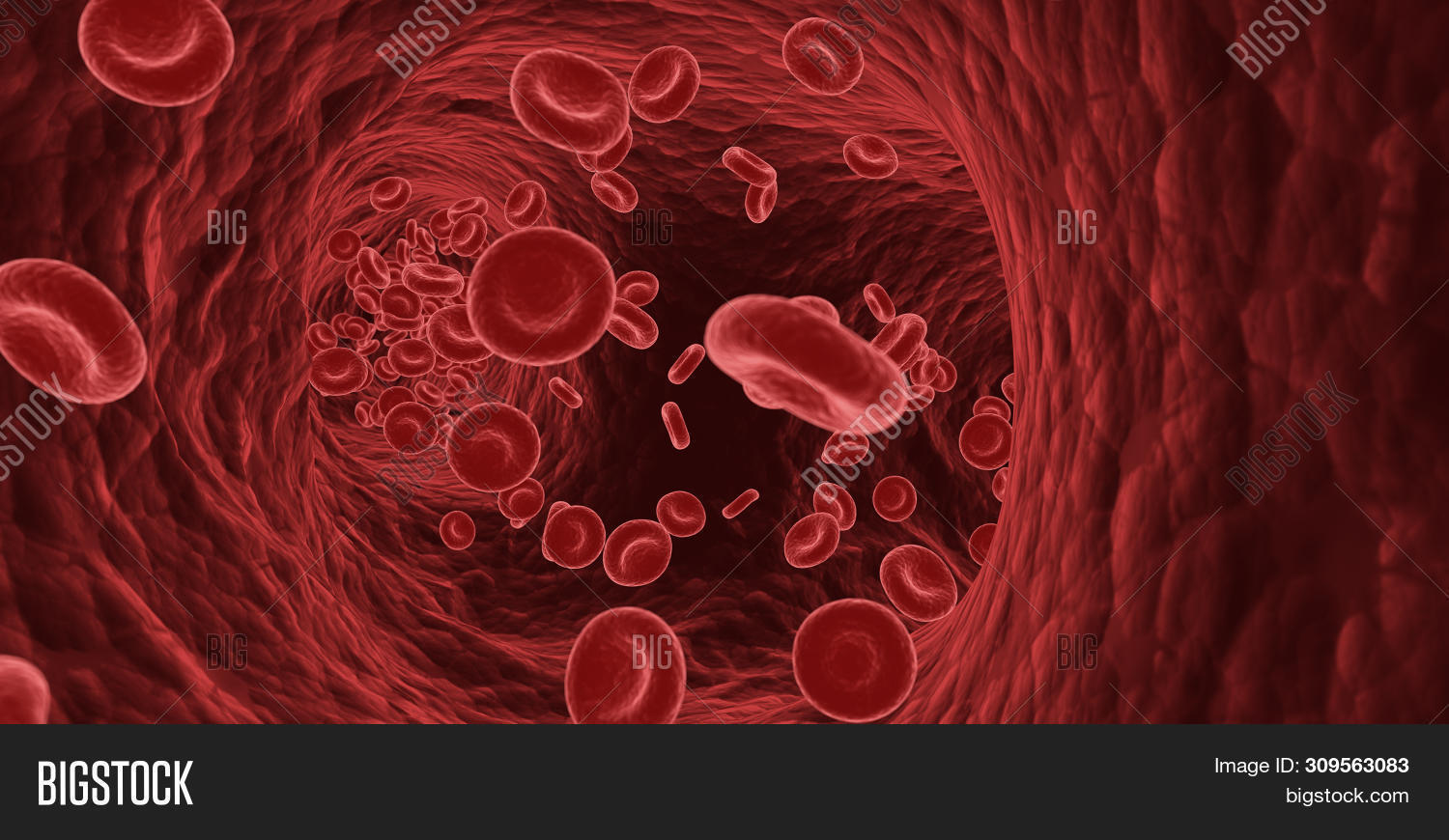 3d Rendered Medically Image & Photo (Free Trial) | Bigstock