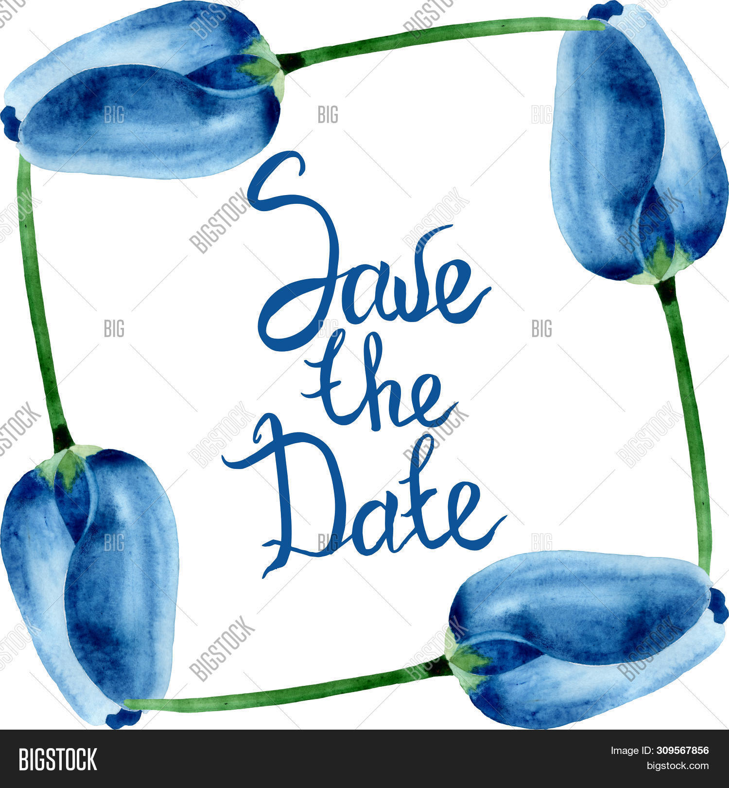 Blue Tulip Floral Image & Photo (Free Trial) | Bigstock