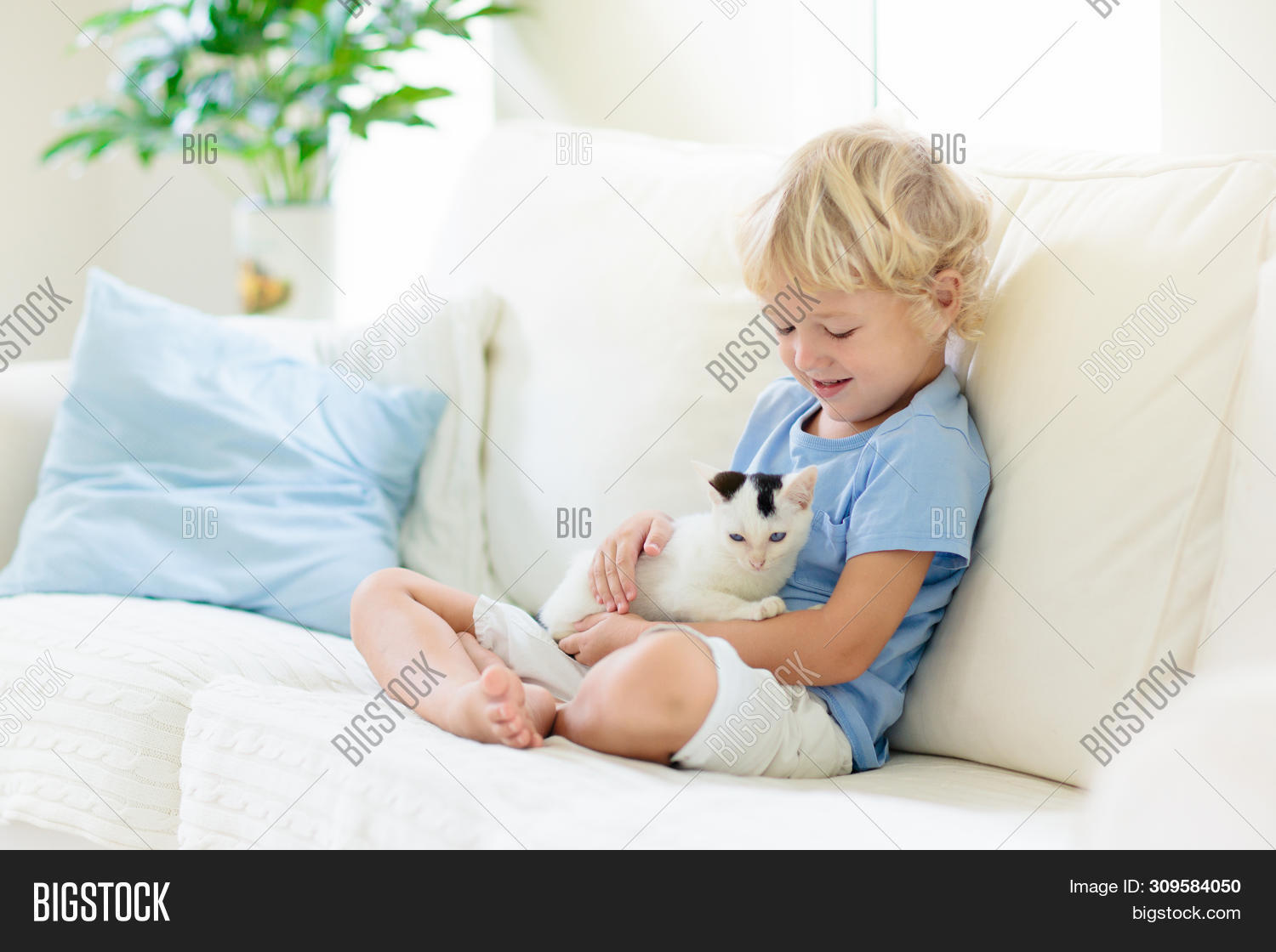 Child Playing Baby Cat Image & Photo (Free Trial) | Bigstock