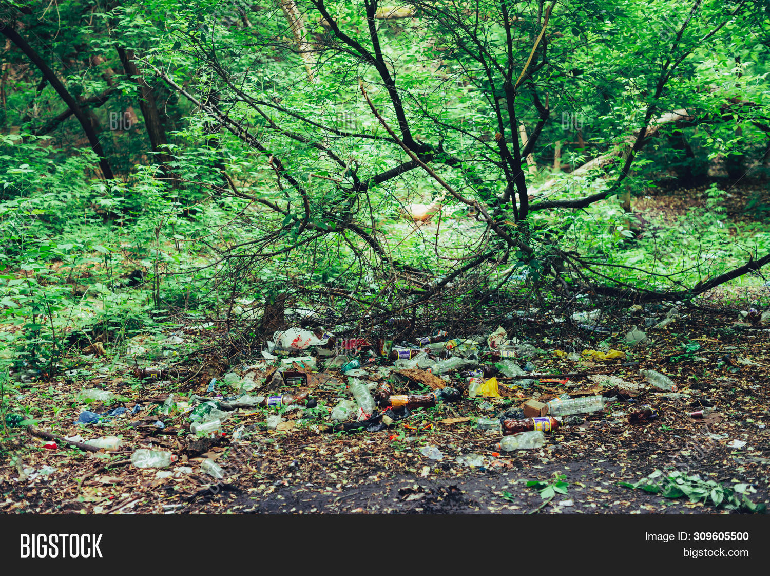 Garbage Pile Forest Image & Photo (Free Trial) | Bigstock