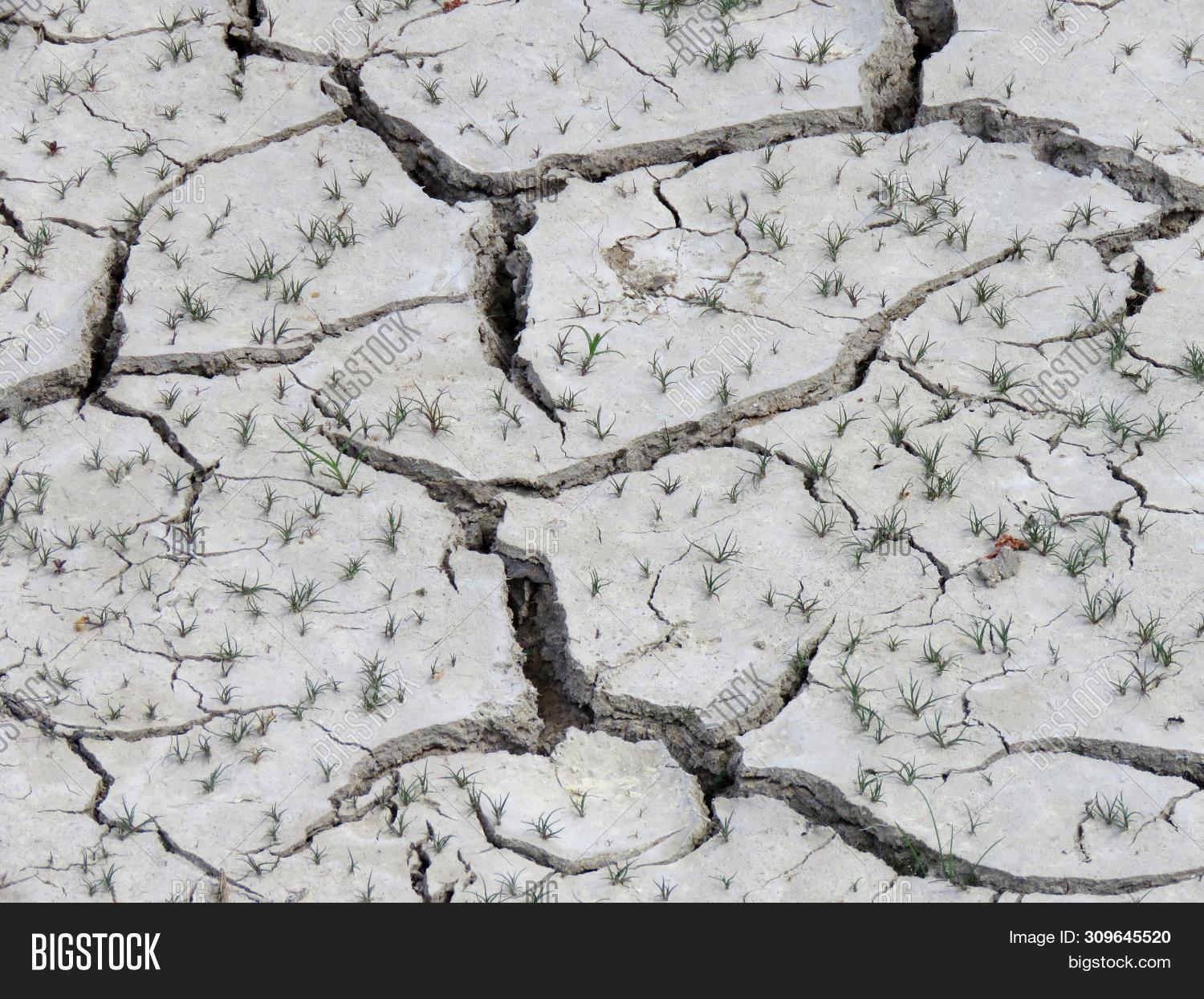 Dry Cracked Ground Image & Photo (Free Trial) | Bigstock