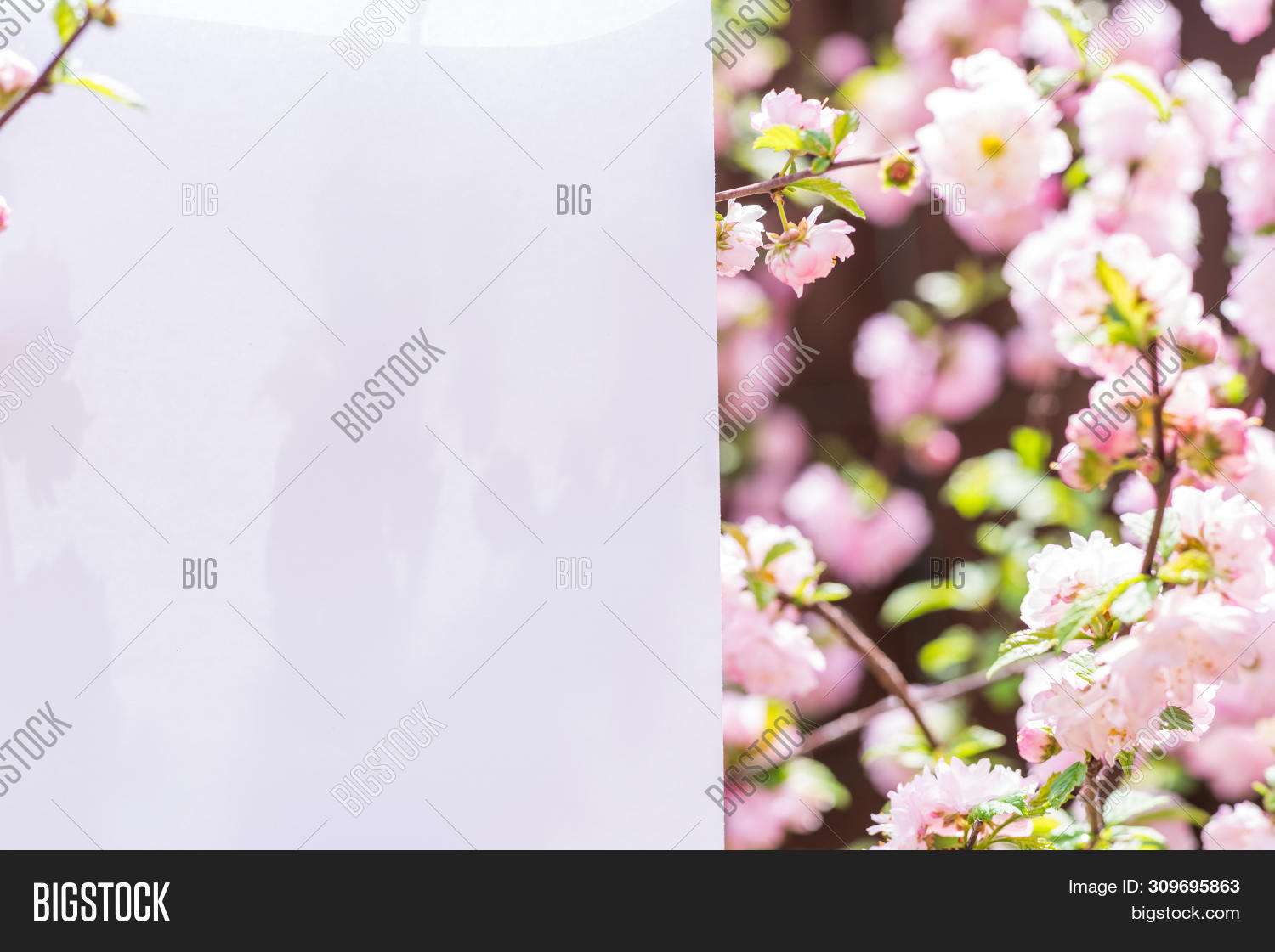 Paper Blank Between Image & Photo (Free Trial) | Bigstock