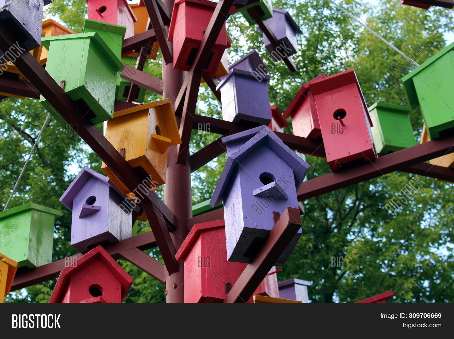 Colorful Houses Birds Image & Photo (Free Trial) | Bigstock