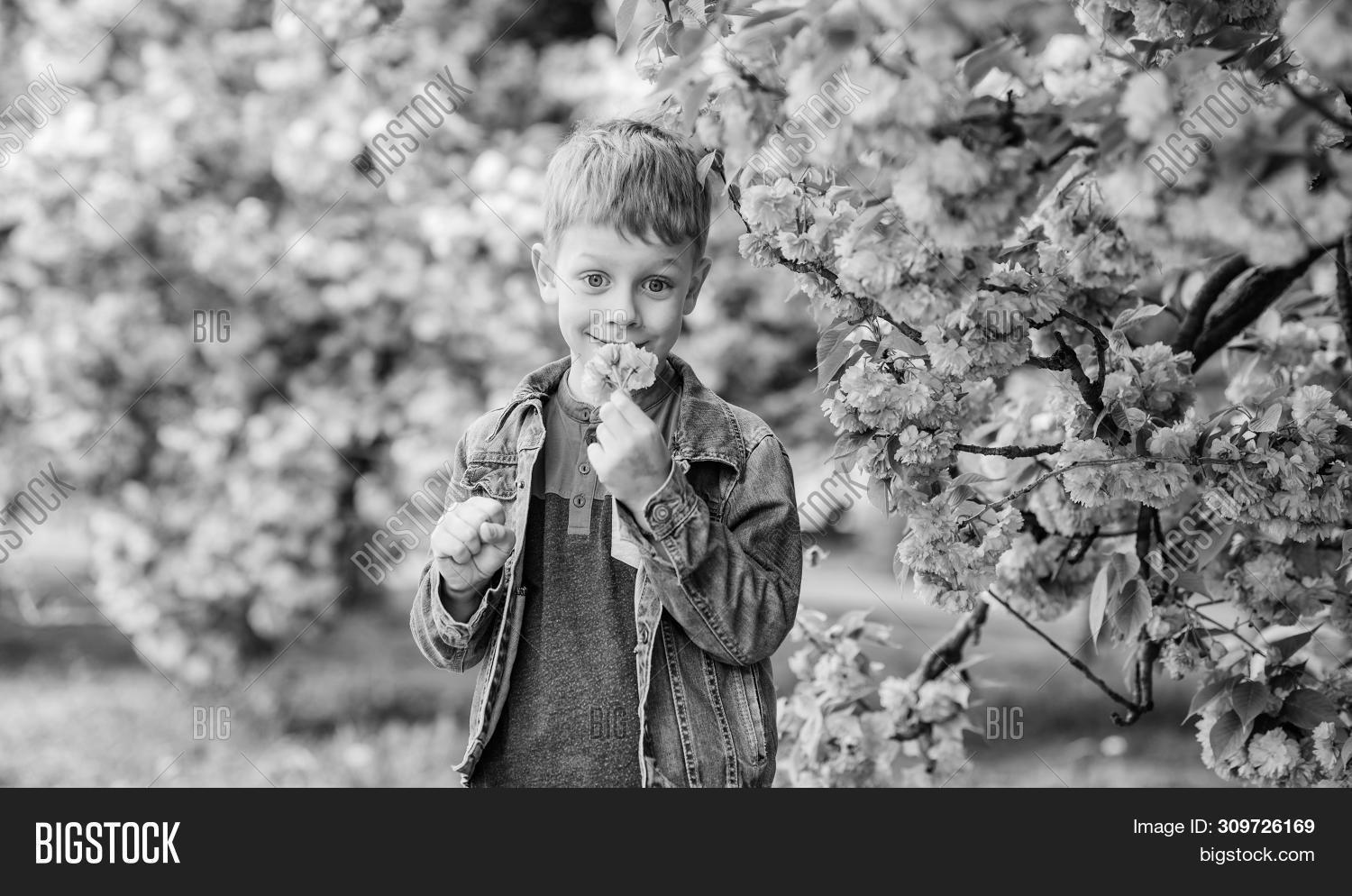 Adorable Boy Sniffing Image & Photo (Free Trial) | Bigstock