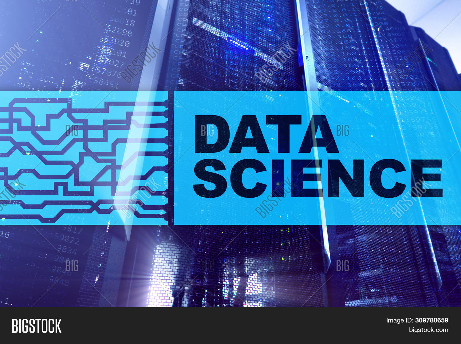 Imagen y foto Data Science (prueba gratis) | Bigstock