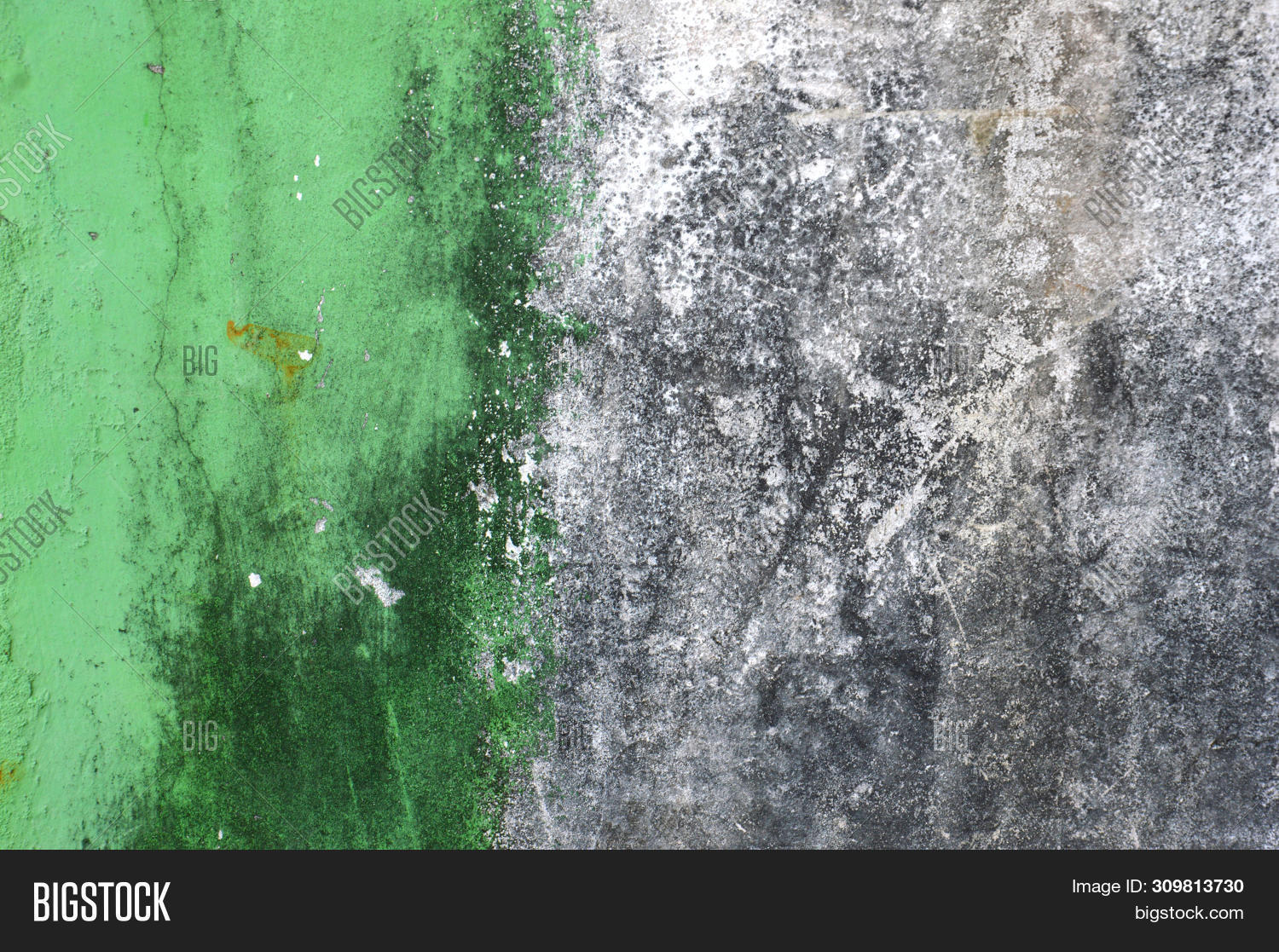 Detailed Texture Image & Photo (Free Trial) | Bigstock