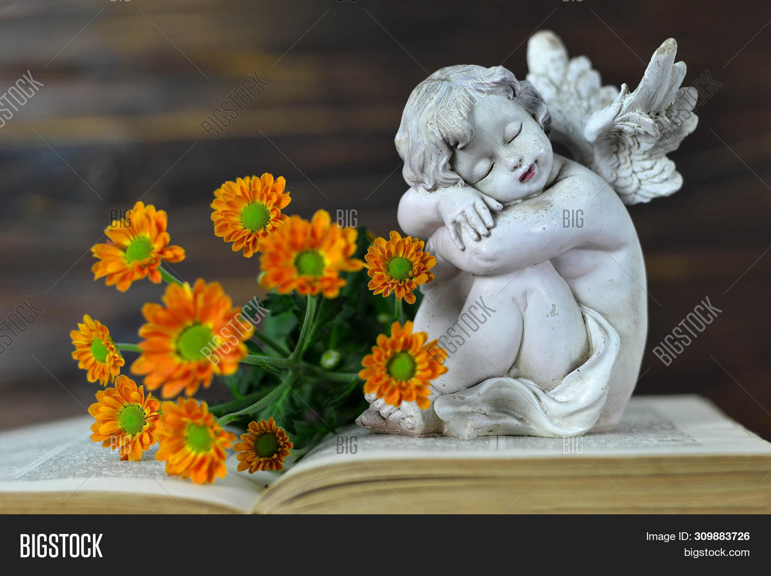 Cherub Sleeping On Image & Photo (Free Trial) | Bigstock