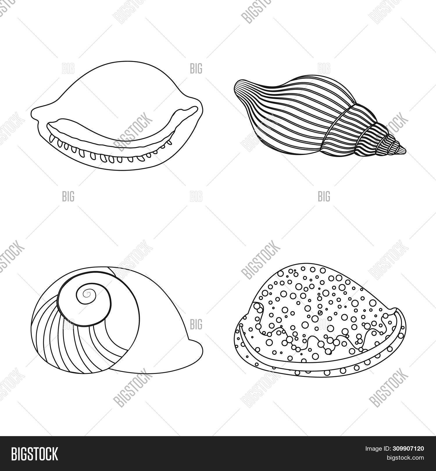 Bitmap Design Exotic Image & Photo (Free Trial) | Bigstock