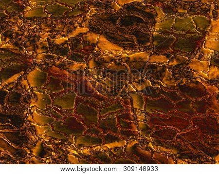 Gold Paint Toned Wood Image & Photo (Free Trial) | Bigstock